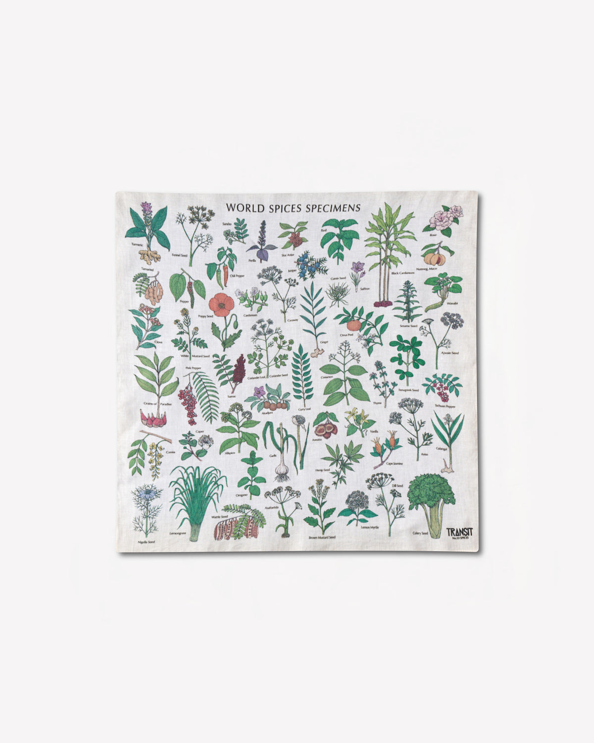 MERCHANDISE – TRANSIT STORE