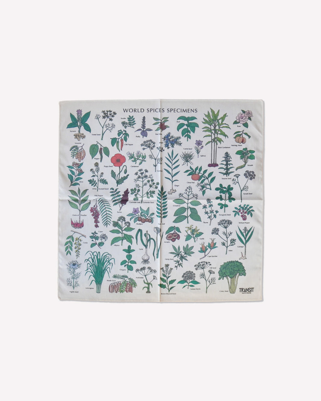 MERCHANDISE – TRANSIT STORE